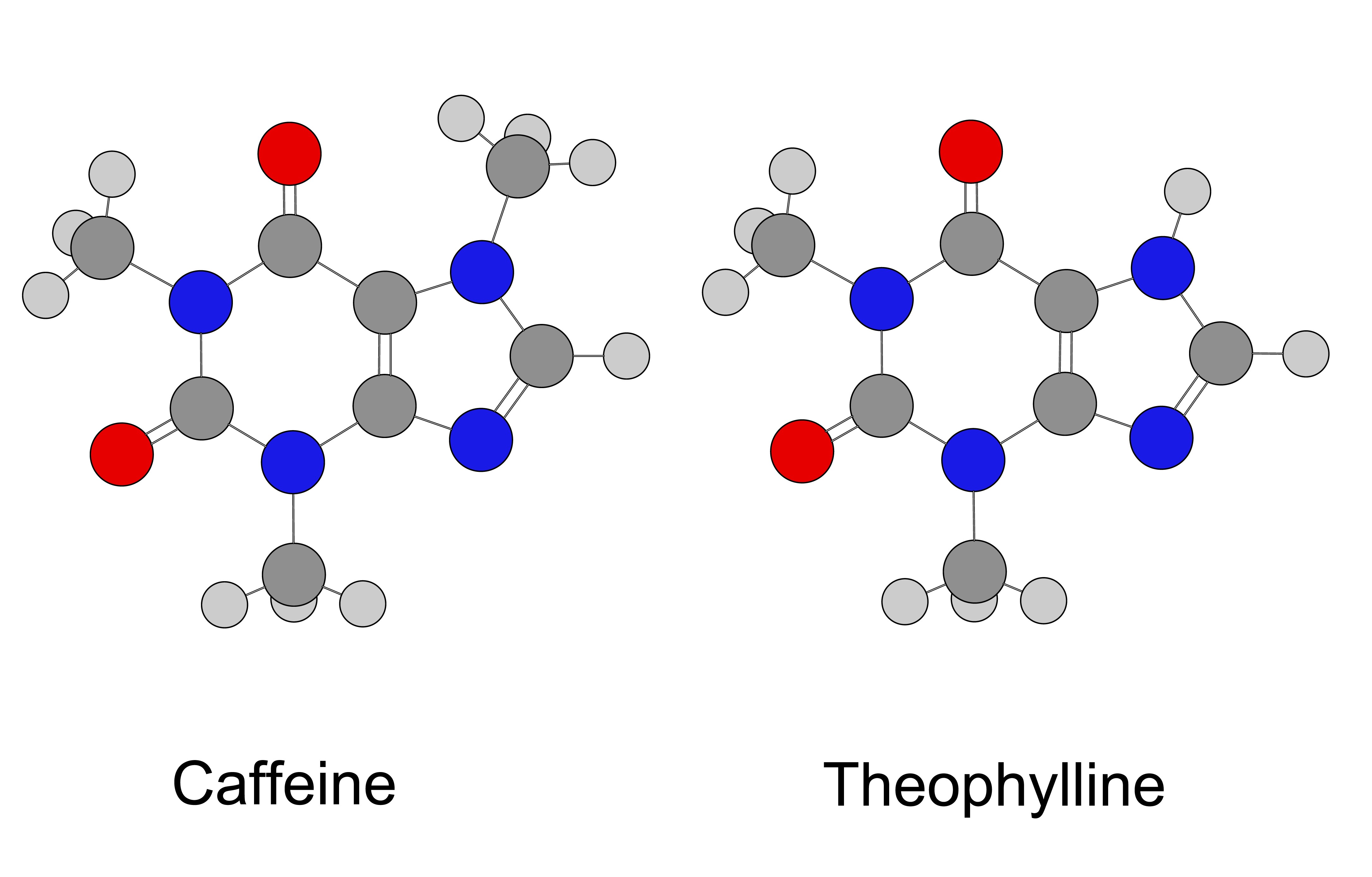 Caffeine_Theophylline_shutterstock_187685570 – Base Pair Biotechnologies